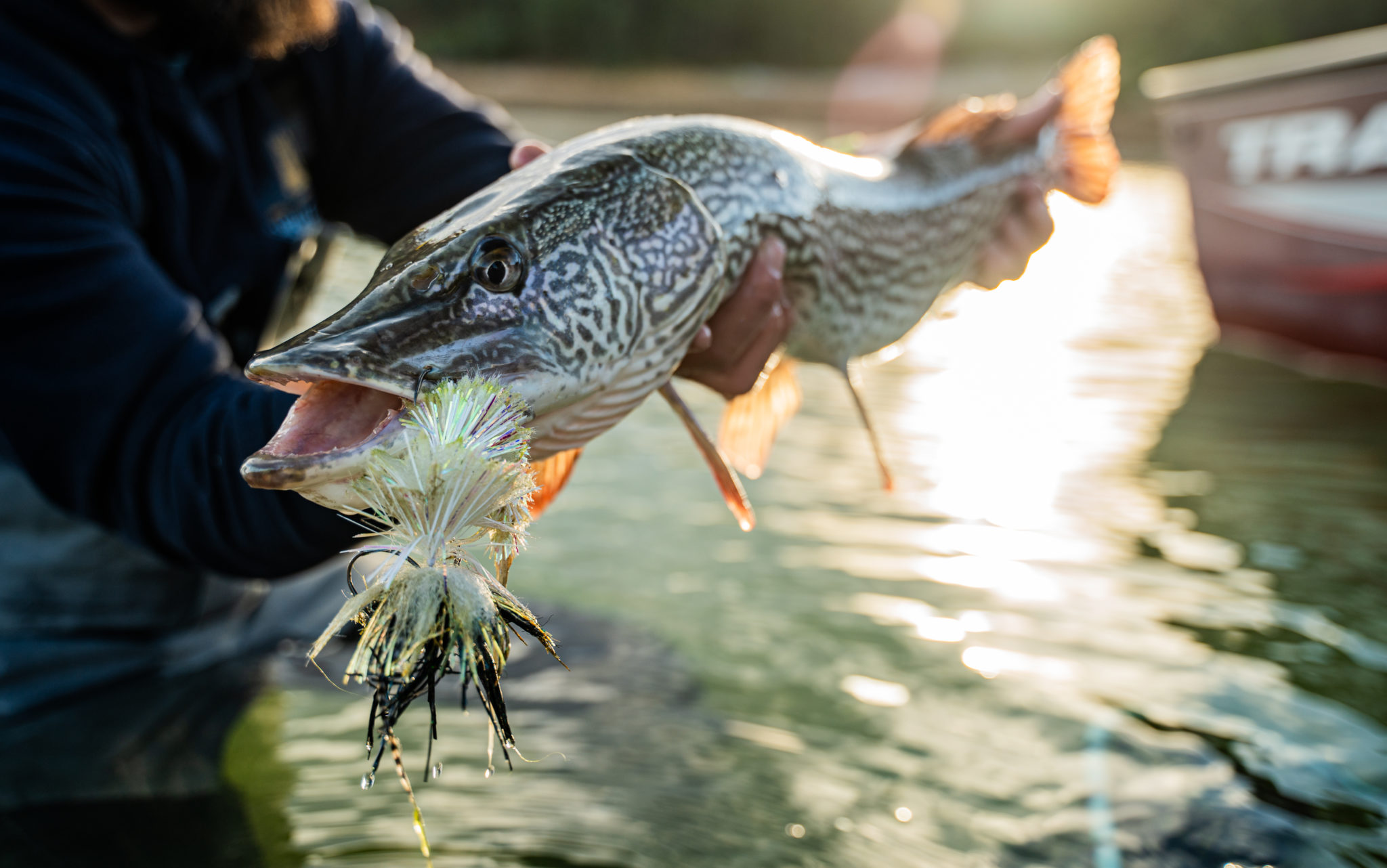 Keyhole Reservoir Fly Fishing Guide - Northern Pike and Carp by Empire ...